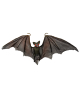 Vampire Bat With LED Eyes 120cm buy for 🎃 | Horror-Shop.com