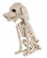 Schnauzer Dog Skeleton As Halloween Decoration 27cm | Horror-Shop.com