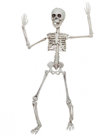 Halloween Skeleton 40 Cm buy as Halloween decoration | Horror-Shop.com