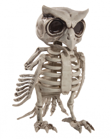 Owl Skeleton As Halloween Decoration 17.5cm | Order NOW! | Horror-Shop.com