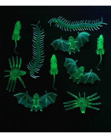 Creepy Insects Glow In The Dark 10 Pcs. for 🎃 | Horror-Shop.com