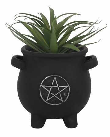 Witch Cauldron With Pentagram Plant Bowl order | Horror-Shop.com