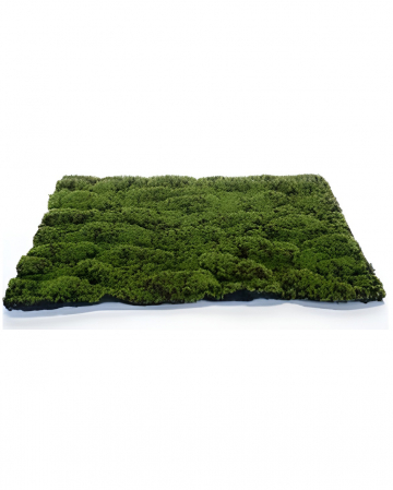 Artificial Moss Mat Green-brown 70x50cm ★ | Horror-Shop.com