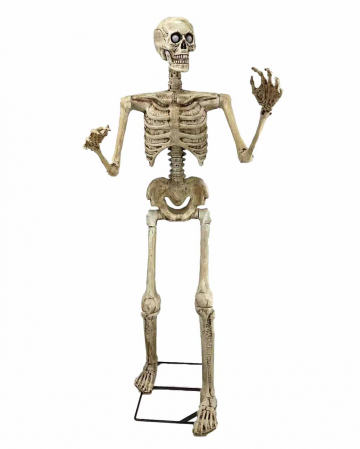 Scary Skeleton Halloween Animatronic 150cm | Horror-Shop.com