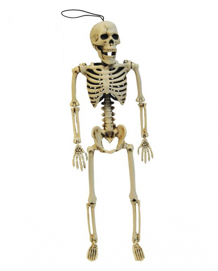 Positionable Skeleton 35cm | Halloween skeleton | Horror-Shop.com