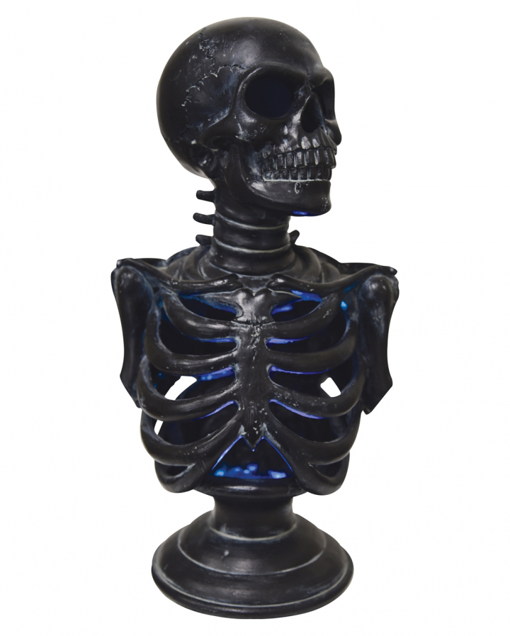 Black Skeleton Torso with LED Light 32cm | Horror-Shop.com