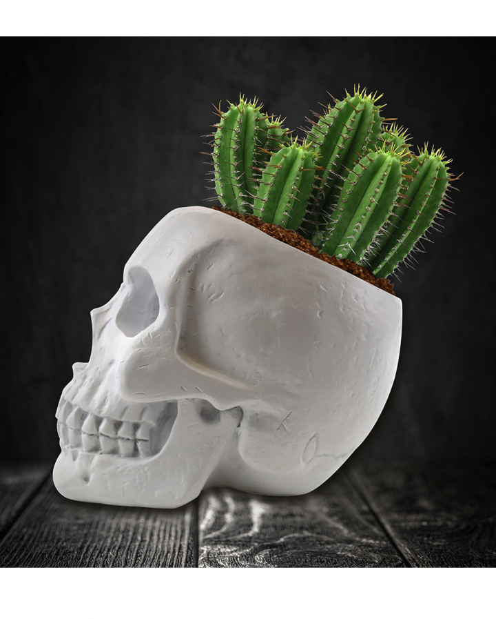 Skull Planting Set With Cactus Seeds order | Horror-Shop.com