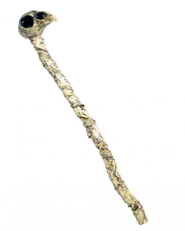 Voodoo Ceremonial Wand With Crow's Head Costume accessories | Horror ...