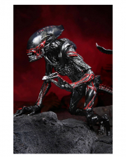 Aliens vs. Predator Kostüme & Masken kaufen | Horror-Shop.com