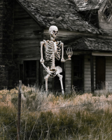 Gigantic Giant Skeleton 3 Meters | Horror-Shop.com