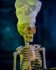 Animated Skeleton Chef With Butcher's Cleaver 30cm for Halloween ...