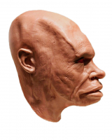 Neandertaler Schaumlatex Maske als Kostümzubehör | Horror-Shop.com