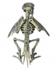 Rotten Skeleton Raven 20cm as Halloween decoration | Horror-Shop.com