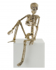 Antique Beige Positionable Skeleton With Eyes 37cm ★ | Horror-Shop.com