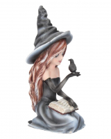 Gothic Witch Regan With Raven 15cm store online | Horror-Shop.com