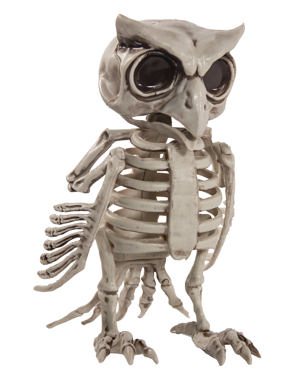 Owl Skeleton As Halloween Decoration 17.5cm | Order NOW! | Horror-Shop.com