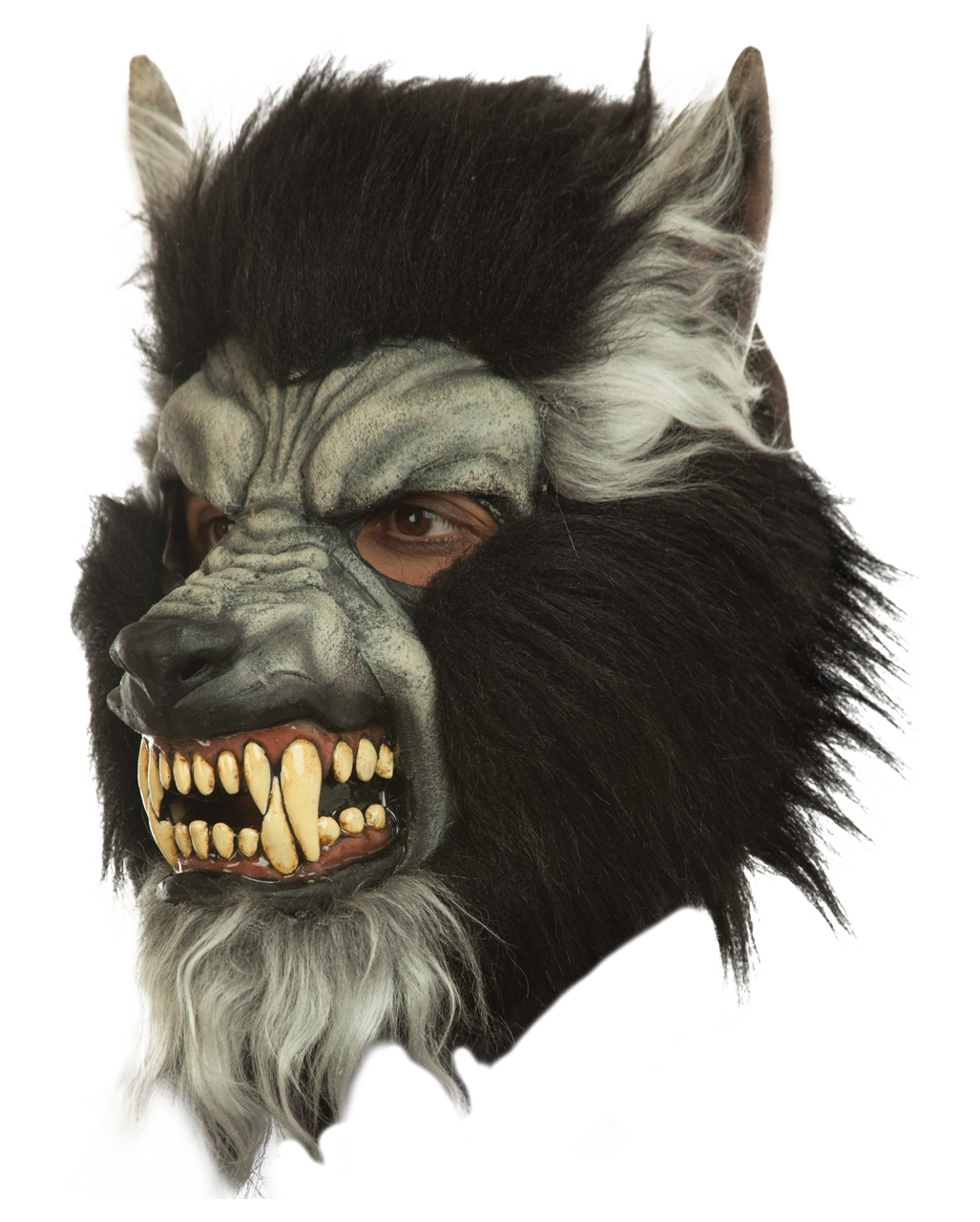 Gray Wolf Mask With Bared Teeth | Buy online HERE! | Horror-Shop.com