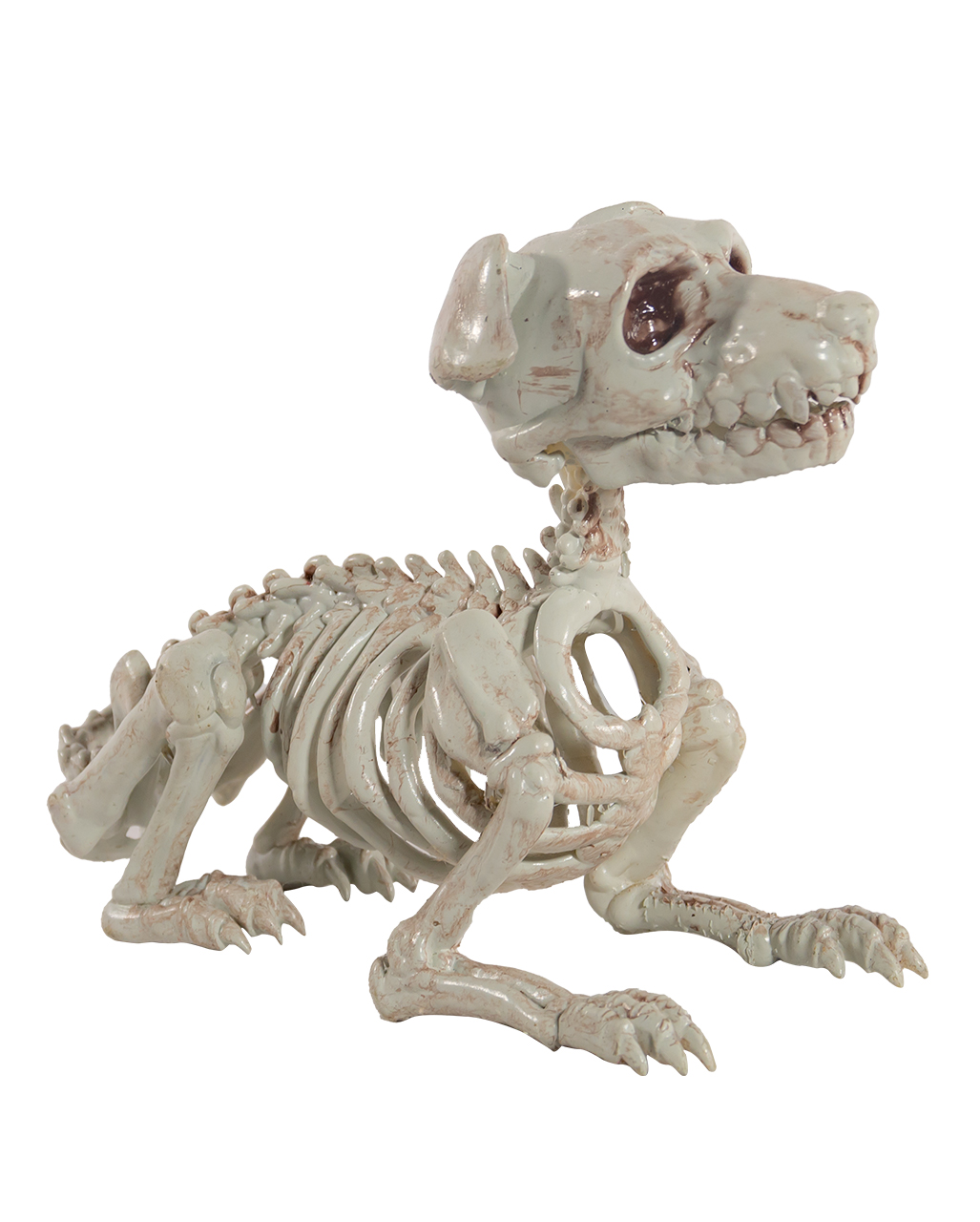 Schnauzer Dog Skeleton As Halloween Decoration 27cm | Horror-Shop.com