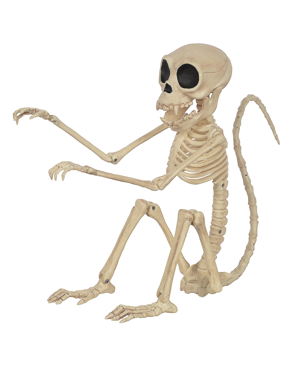 Skeleton Monkey As Halloween Decoration 24cm | Animal skeleton | Horror ...