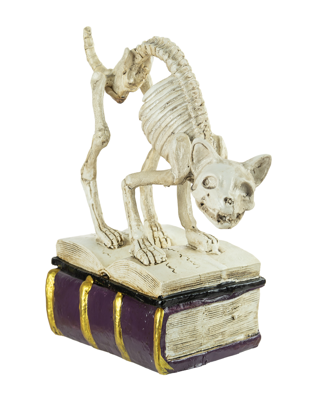 Skeleton Cat on Spellbooks 17,5cm | Horror-Shop.com