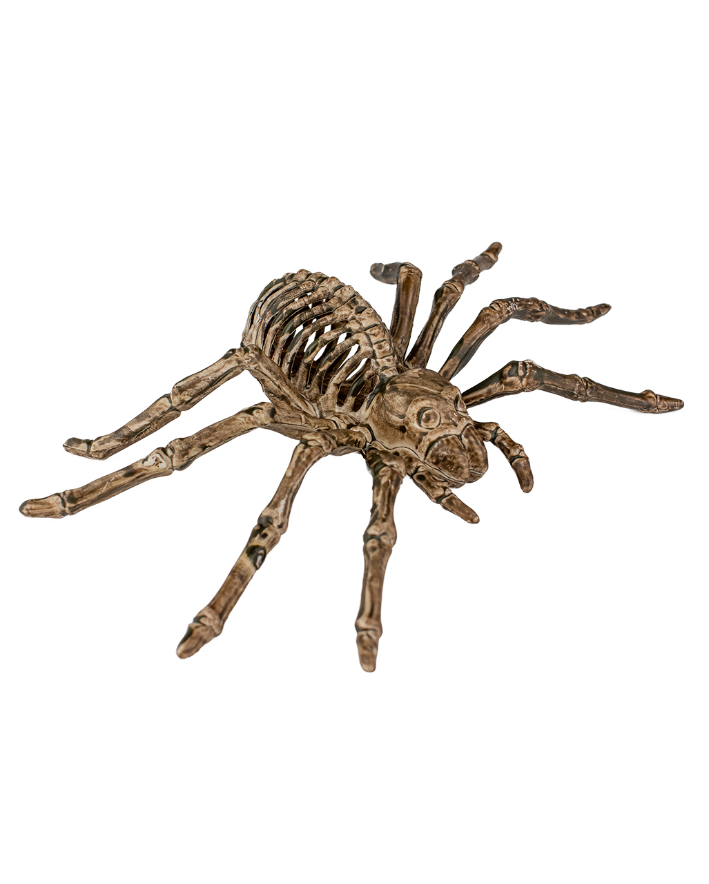 Skeleton Spider 24cm Halloween Decoration | Horror-Shop.com
