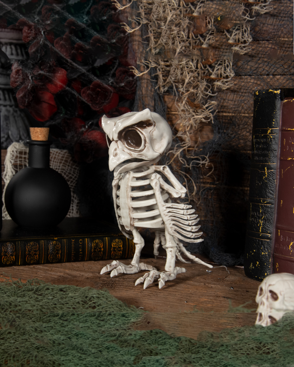 Owl Skeleton As Halloween Decoration 17.5cm | Order NOW! | Horror-Shop.com