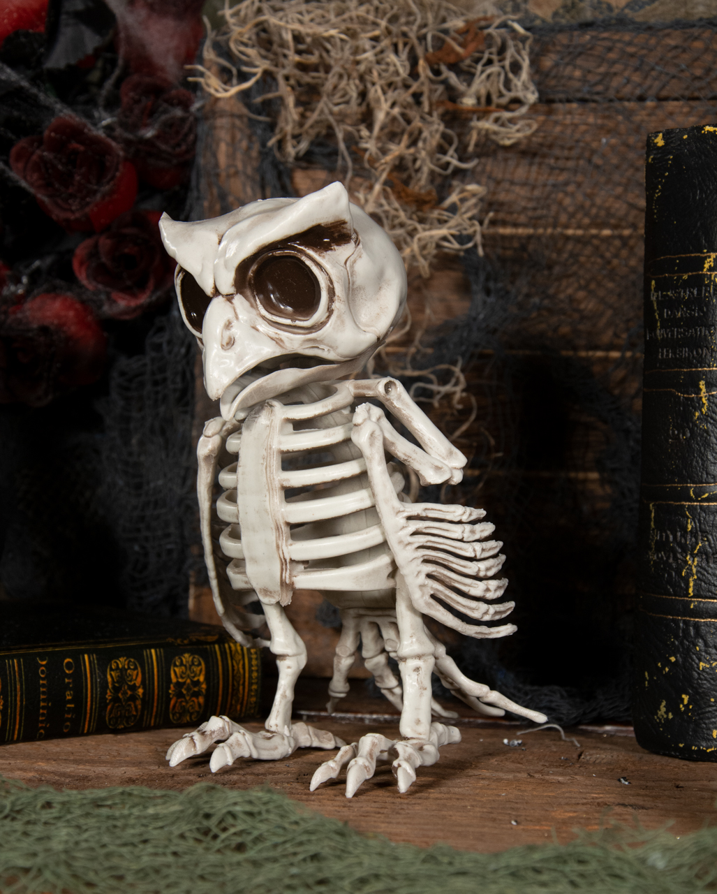 Owl Skeleton As Halloween Decoration 17.5cm | Order NOW! | Horror-Shop.com