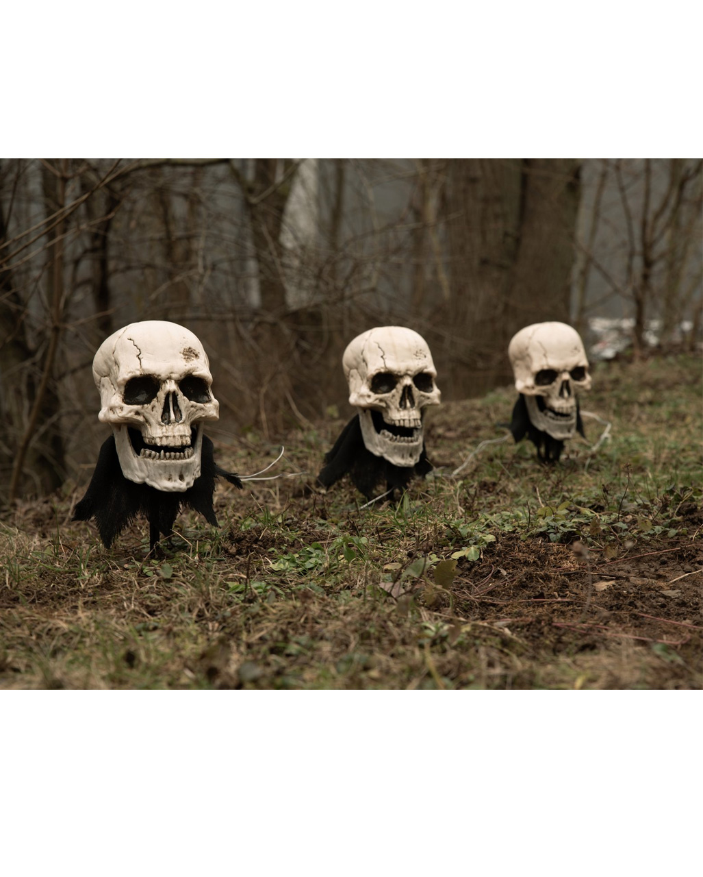 Halloween Skull With Ground Spike Set Of 3 ★ | Horror-Shop.com