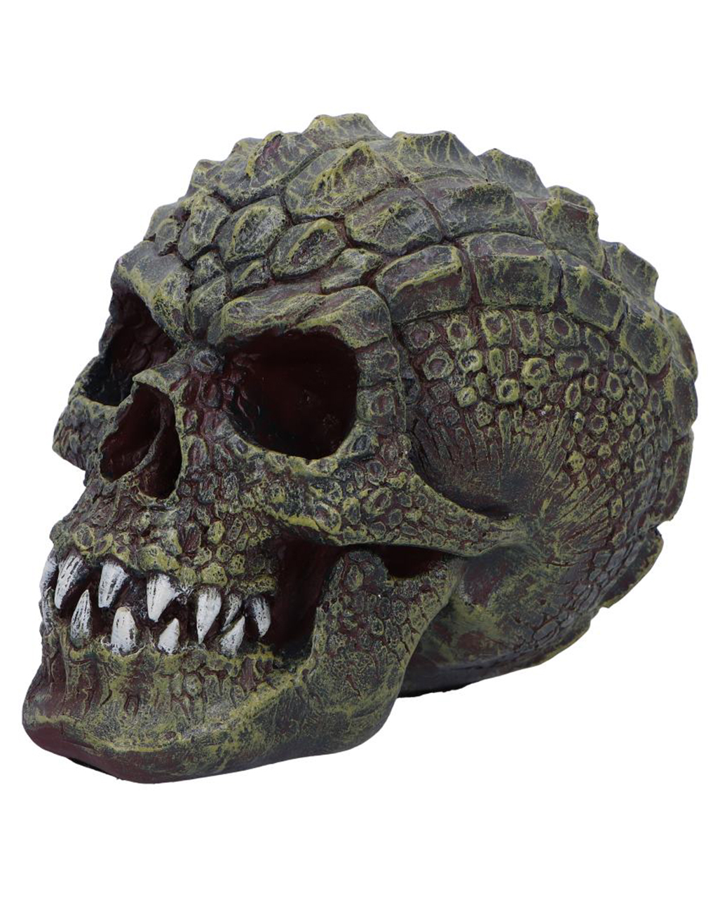 Reptillian Skull 17cm as Gothic Deco | Horror-Shop.com