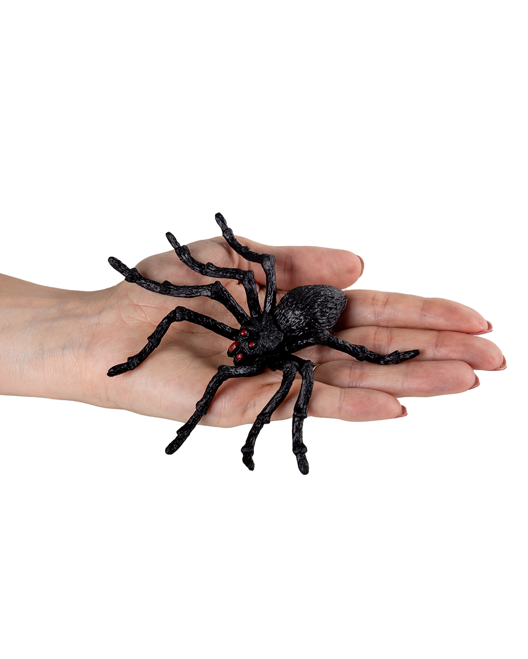 Giant Black Tarantula 2 Pieces 14cm as decoration | Horror-Shop.com