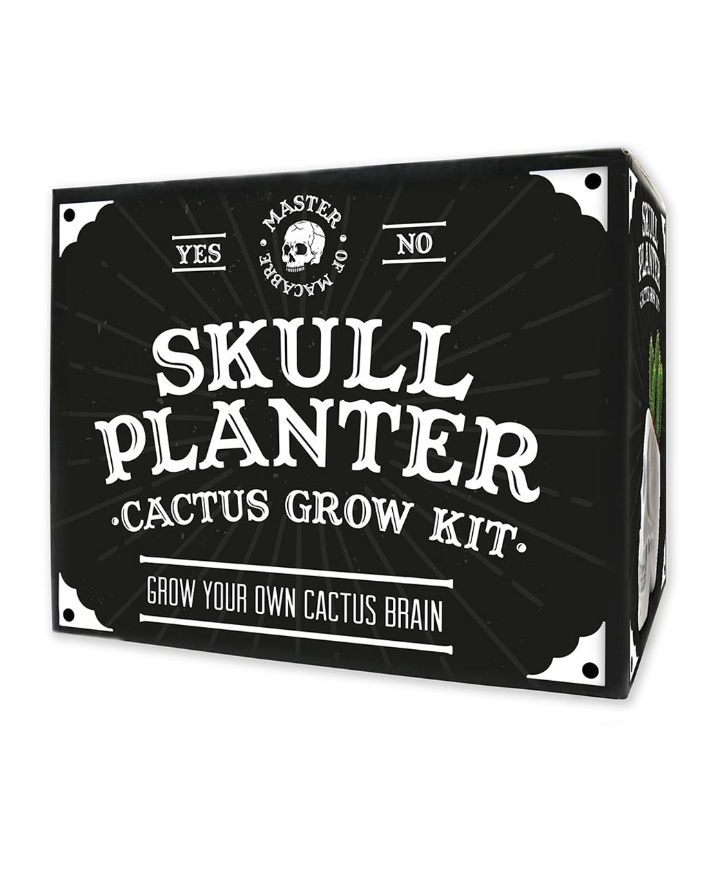 Skull Planting Set With Cactus Seeds order | Horror-Shop.com