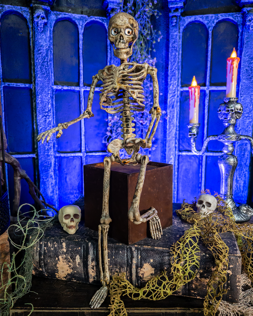 Antique Beige Positionable Skeleton With Eyes 37cm ★ | Horror-Shop.com