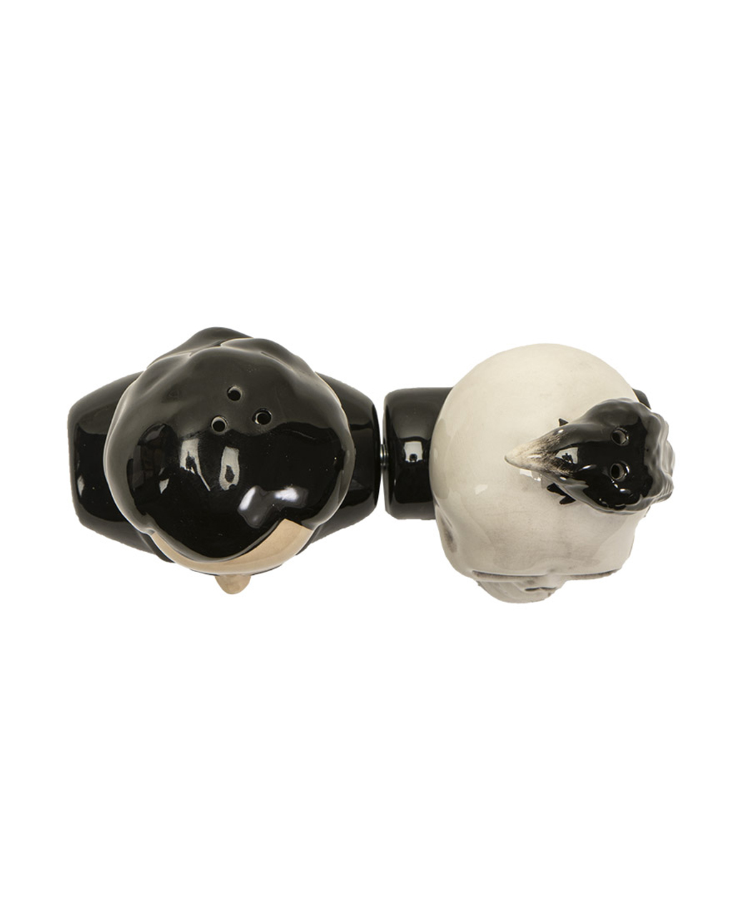 Edgar Allan Poe & Raven Salt & Pepper Shaker Set ★ | Horror-Shop.com