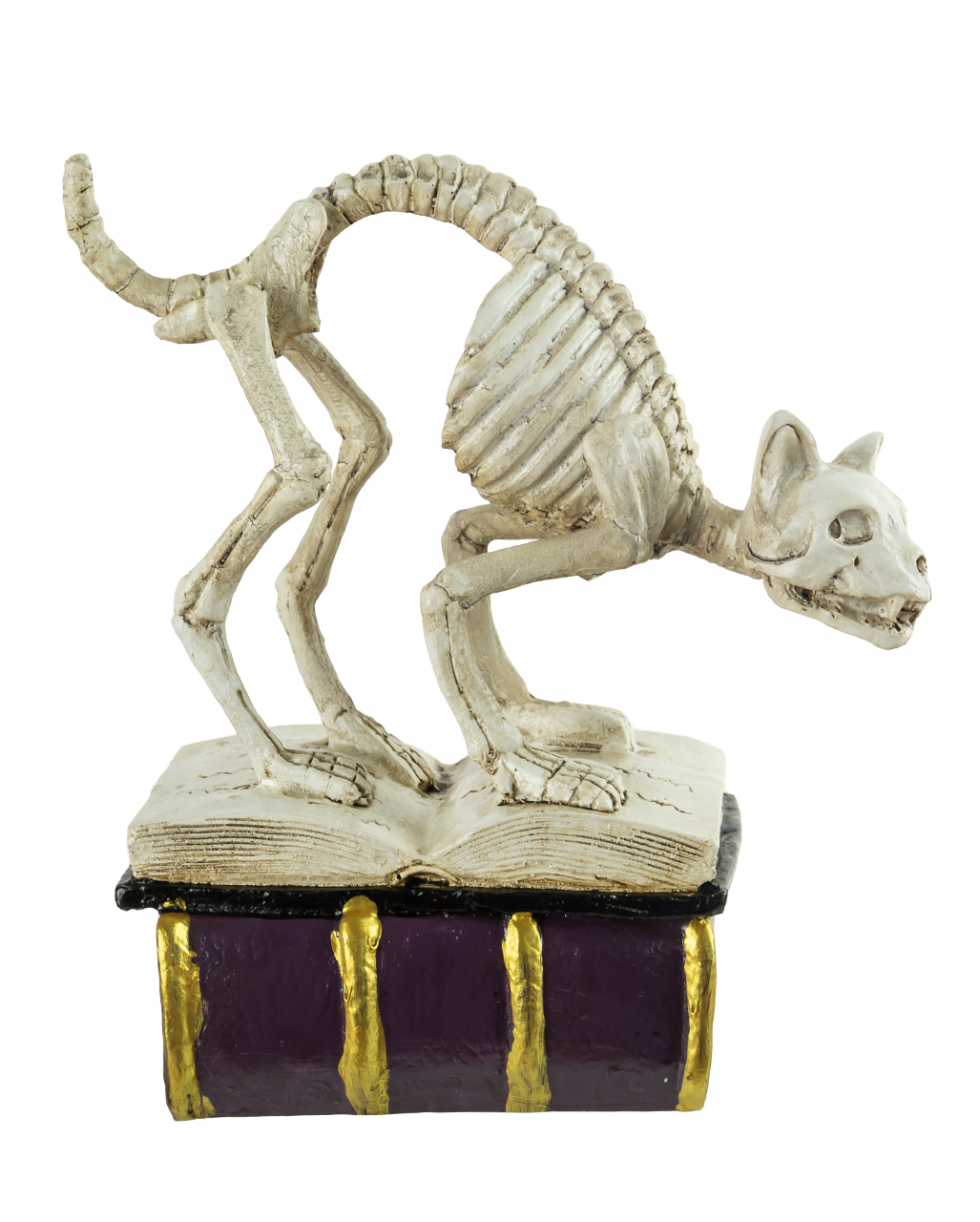 Skeleton Cat on Spellbooks 17,5cm | Horror-Shop.com