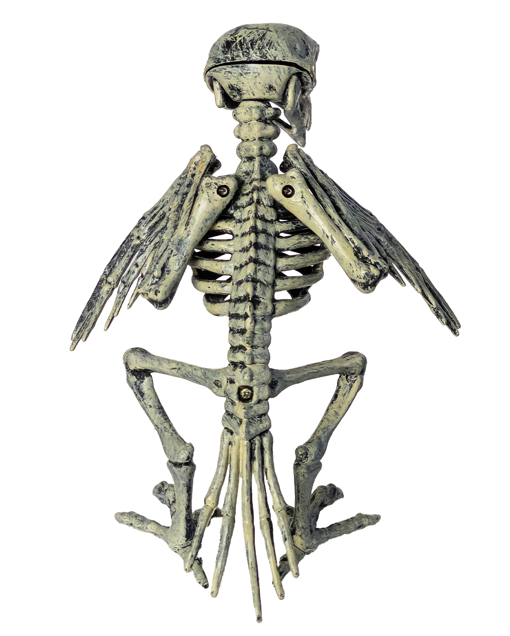 Rotten Skeleton Raven 20cm as Halloween decoration | Horror-Shop.com