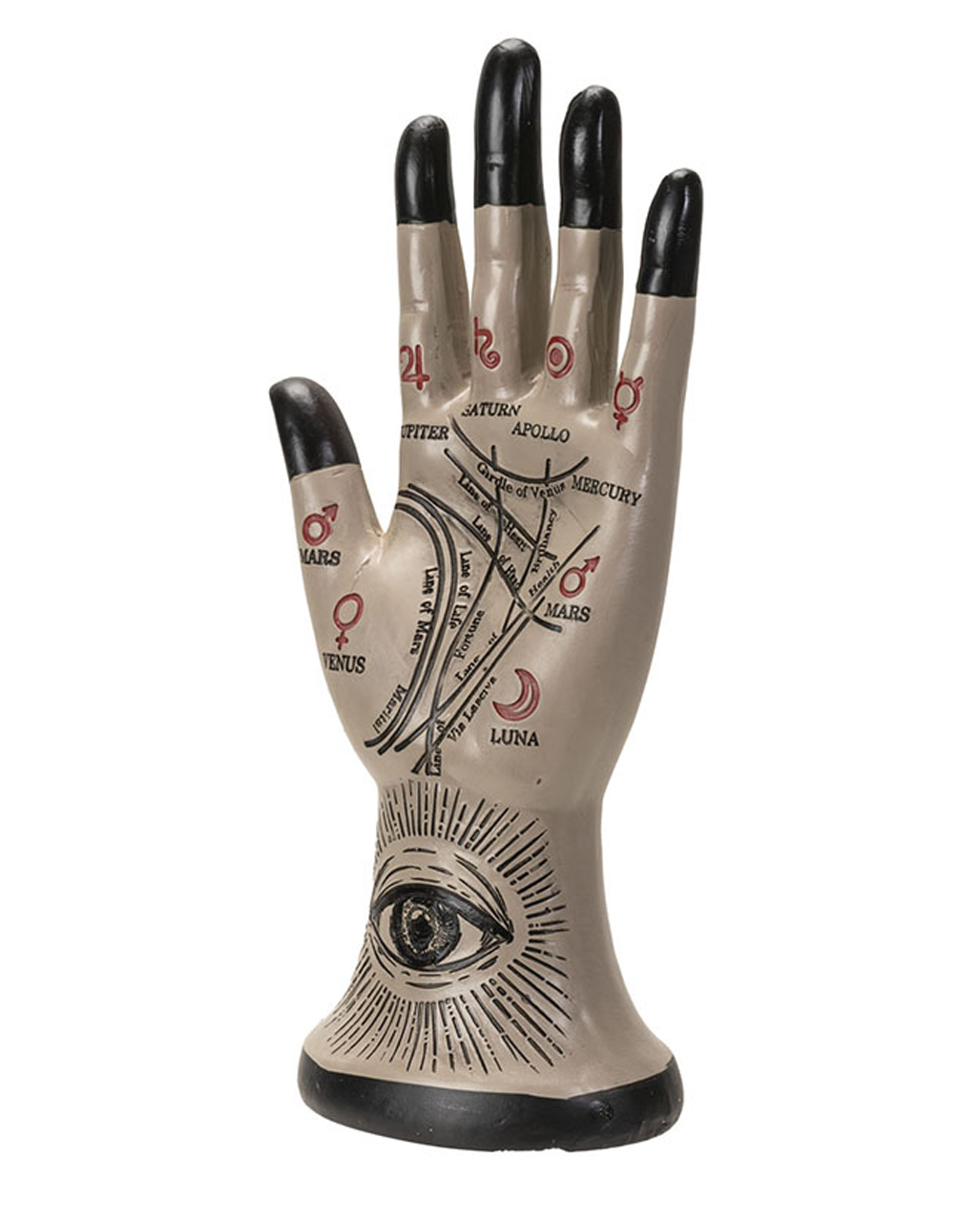Palmistry Divination Hand 22,5cm | Buy online HERE! | Horror-Shop.com