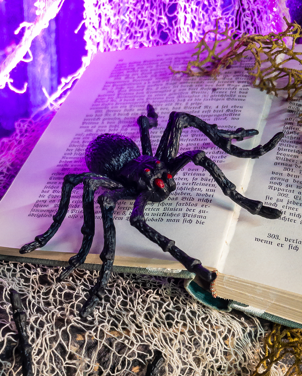 Giant Black Tarantula 2 Pieces 14cm as decoration | Horror-Shop.com